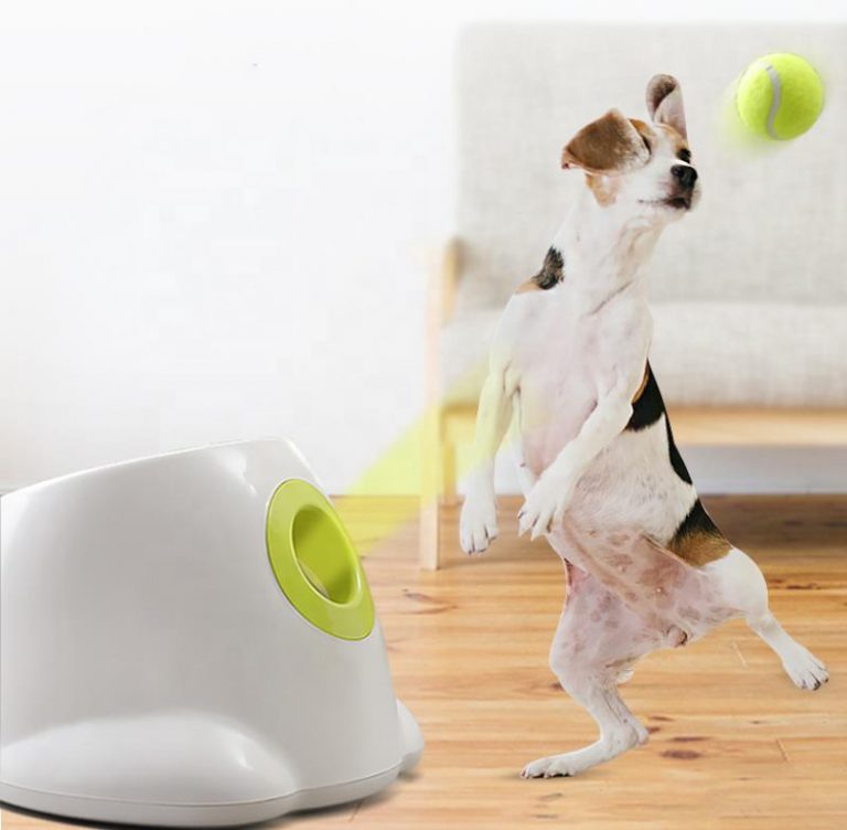 Automatisk Bollkastare För Hund - Justerbar Räckvidd upp till 9 Meter ...